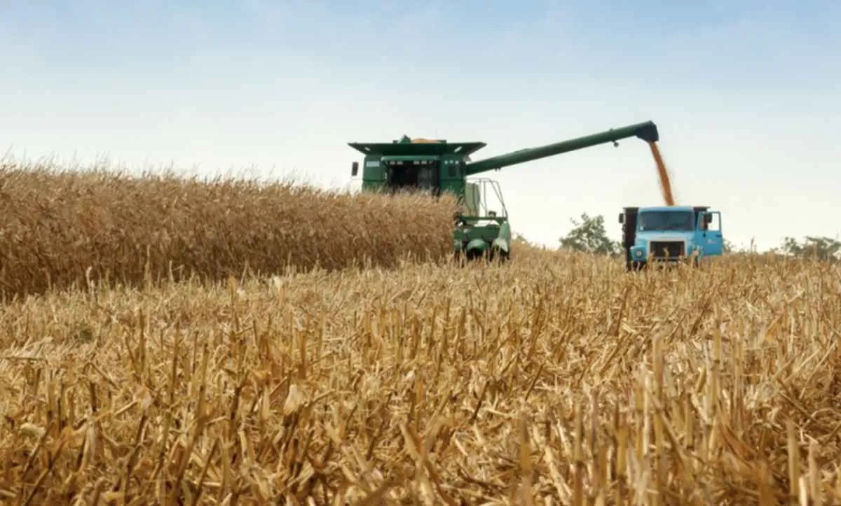 Crédito rural soma R$ 433 bilhões e CPR amplia participação - RuralNews